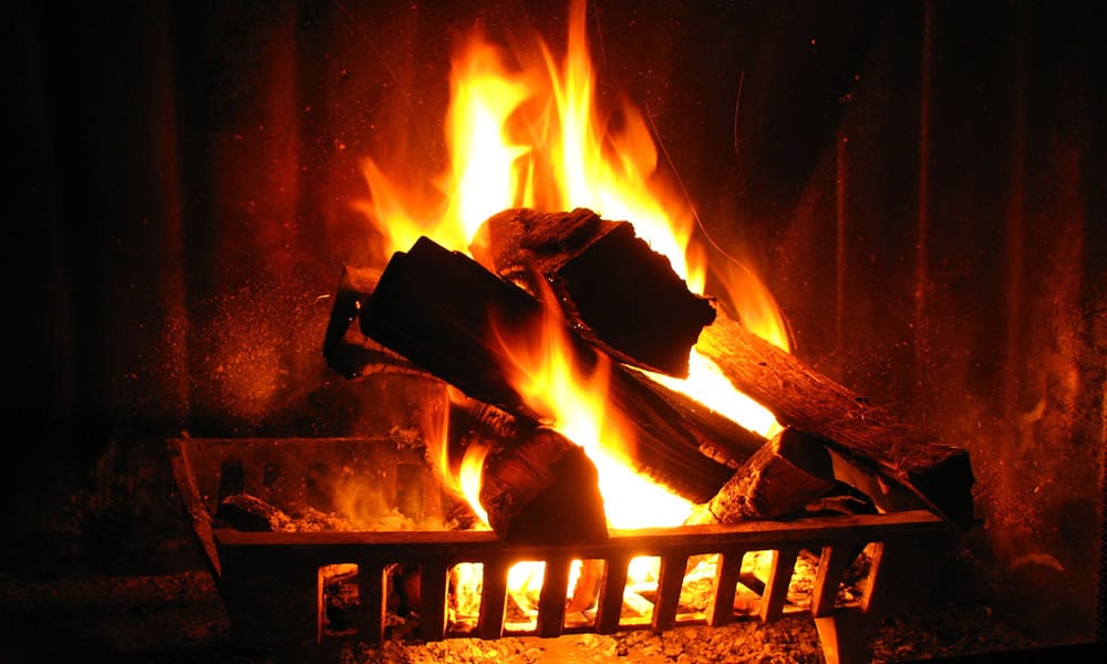 Seasoned Firewood - Four Season